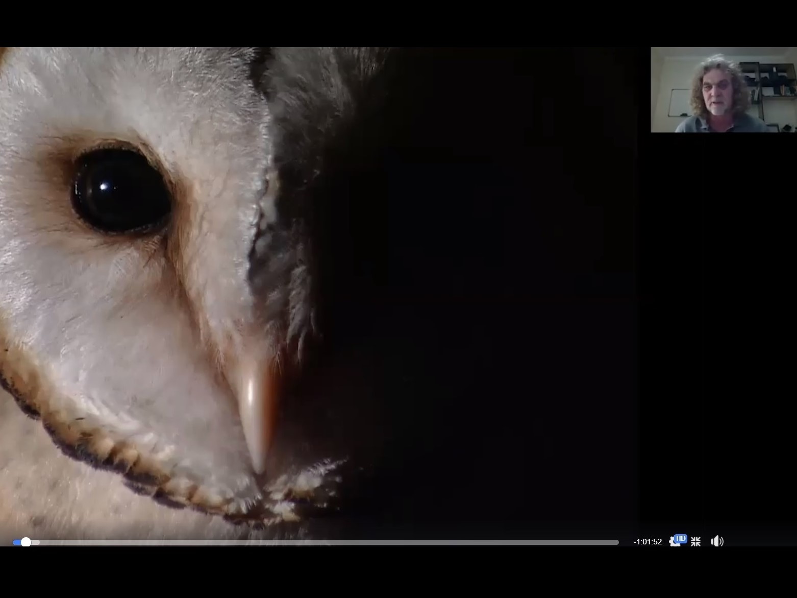 Presentation on Owls and Bats — EcoSolutions Urban Ecology